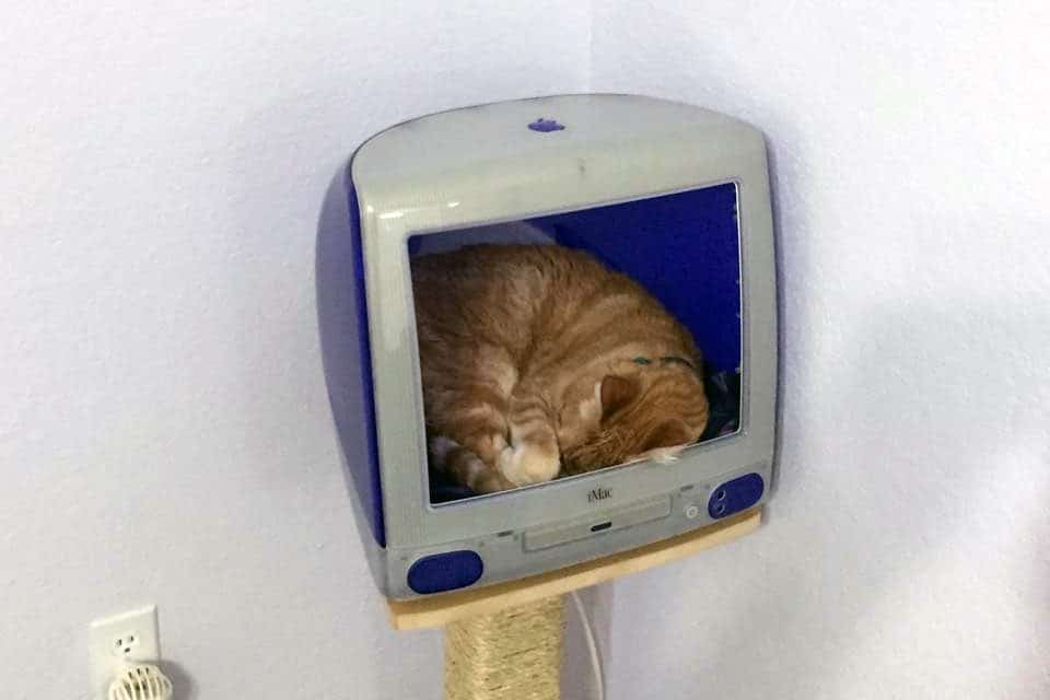 Make an iMac Cat House - The Geek Pub