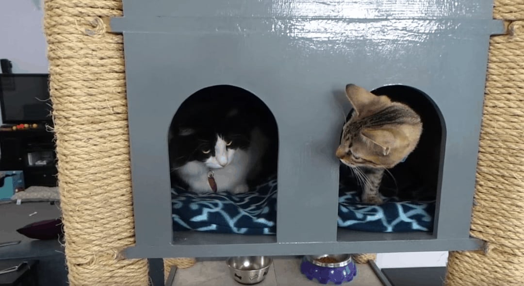 Make the Ultimate Cat Tower - The Geek Pub