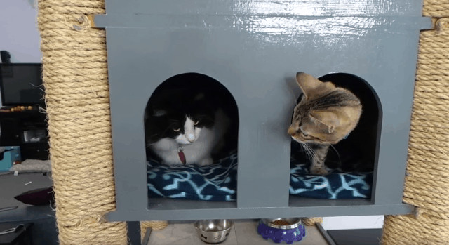 Make the Ultimate Cat Tower - The Geek Pub