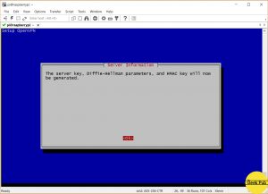 Setup a Raspberry Pi VPN Server - The Geek Pub